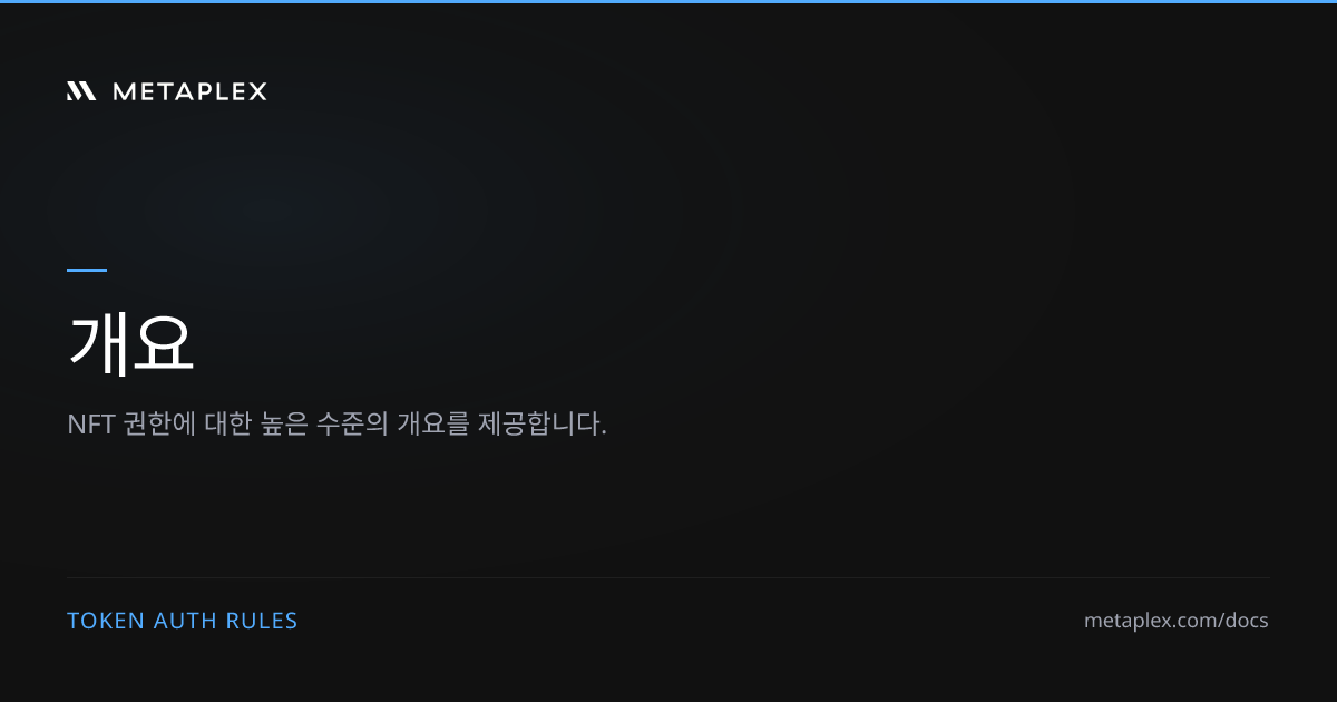 개요 | Token Auth Rules